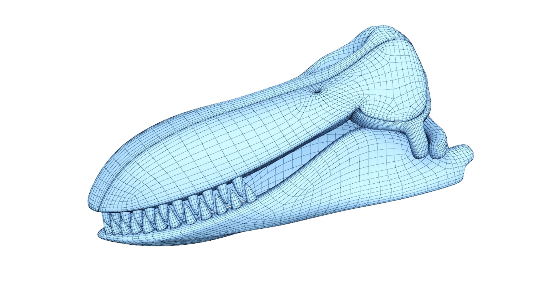 Killer Orca Skull 3D - TurboSquid 1348709