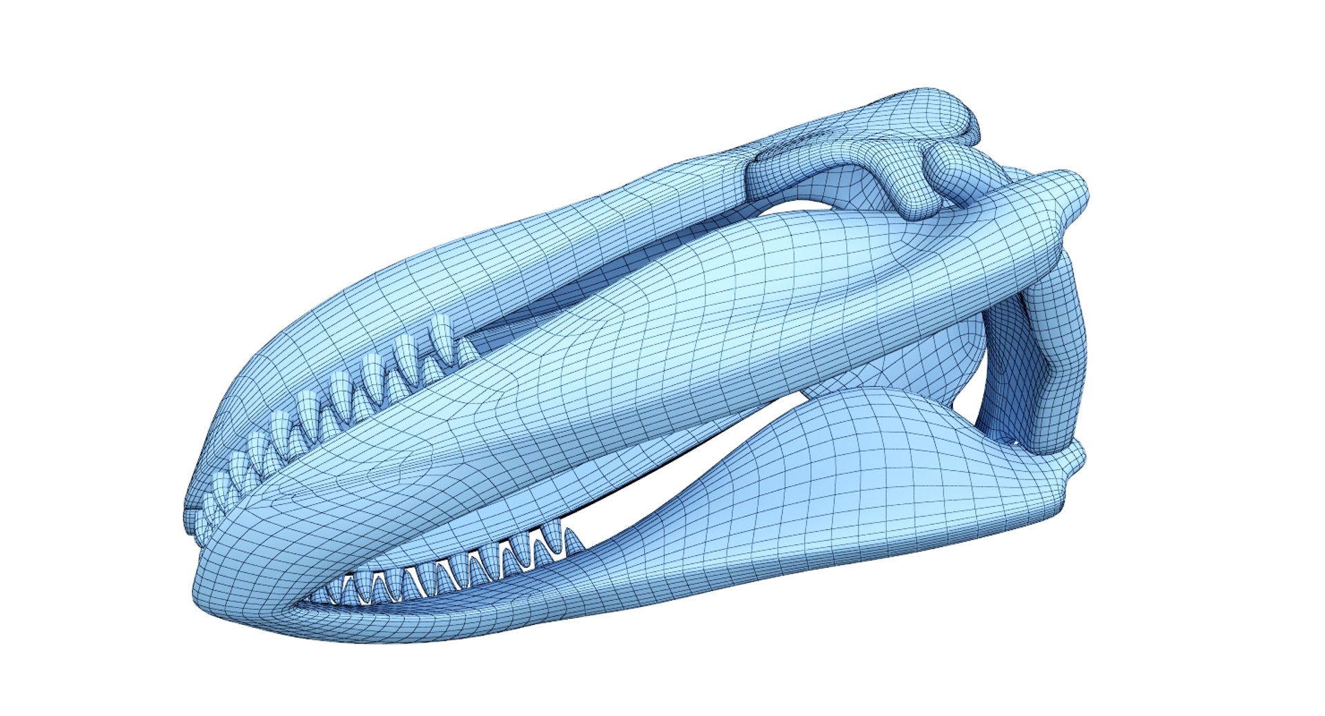 Killer Orca Skull 3D - TurboSquid 1348709