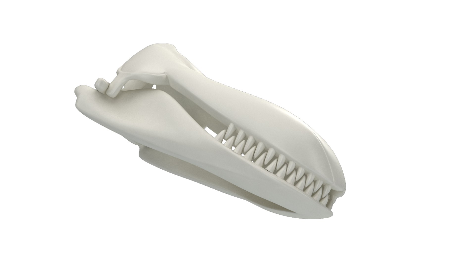 Killer Orca Skull 3D - TurboSquid 1348709
