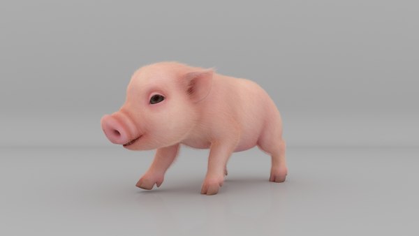 modelo 3d Pig Piglet FUR ANIMATED - TurboSquid 1962190