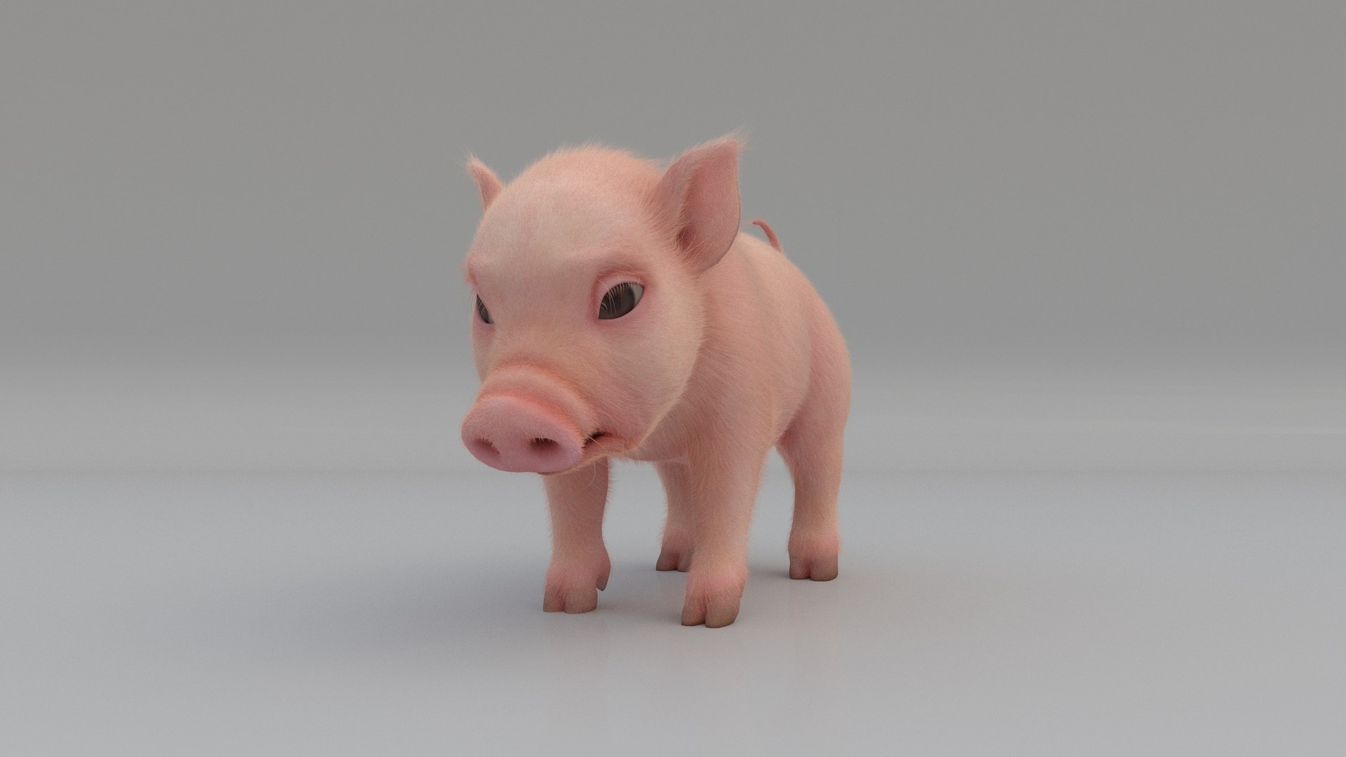 3D Pig Piglet FUR ANIMATED Model - TurboSquid 1962190