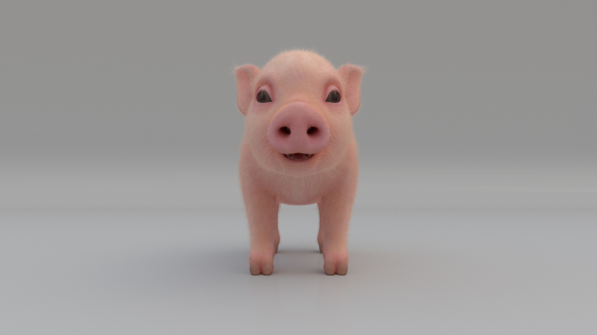 3D Pig Piglet FUR ANIMATED Model - TurboSquid 1962190