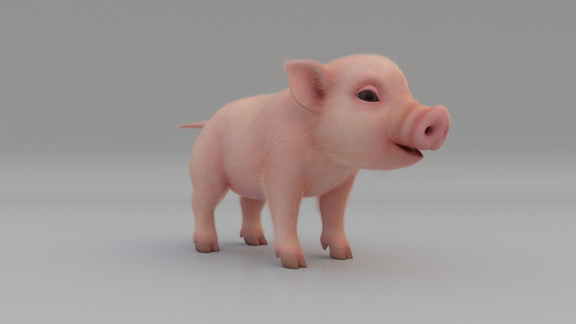 3D Pig Piglet FUR ANIMATED Model - TurboSquid 1962190