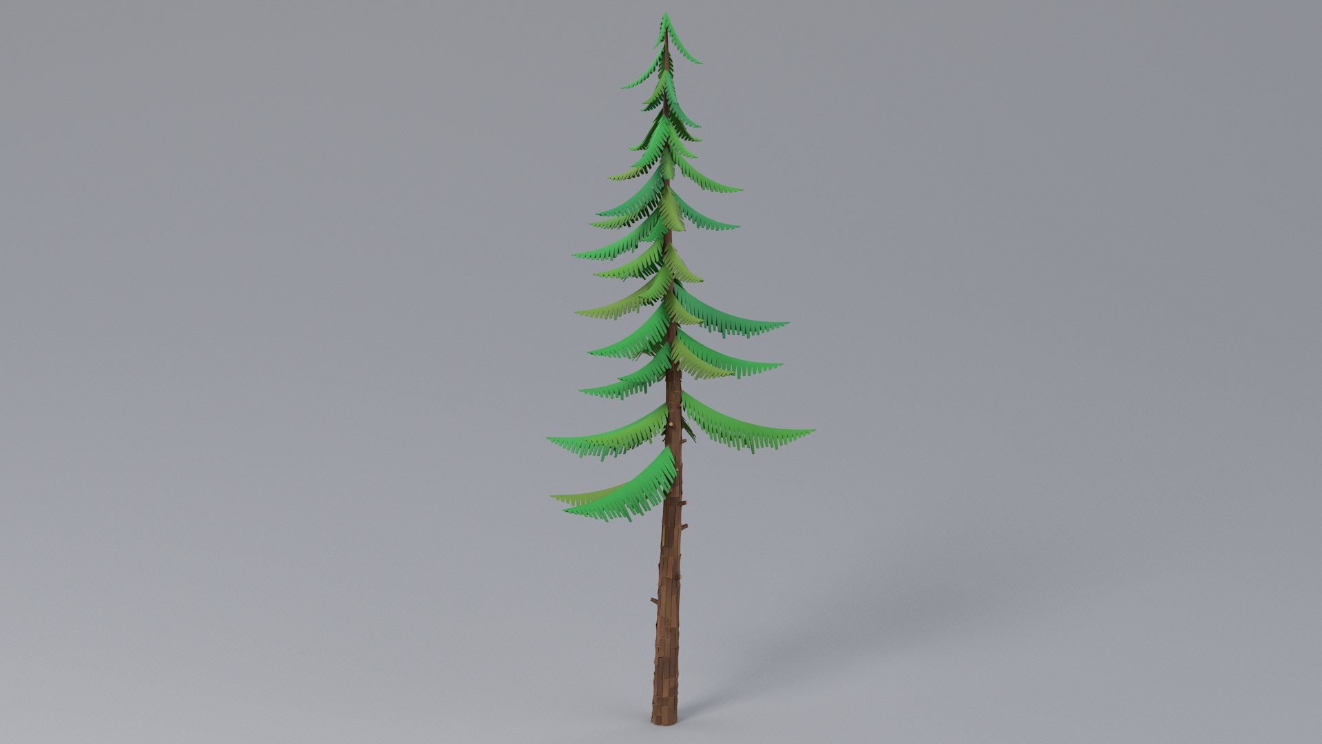 Cartoon Pine 04 3D Model - TurboSquid 1949188