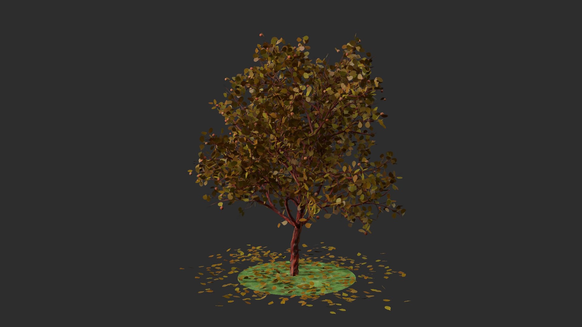 Arbutus autumn hight 3D model - TurboSquid 1622168