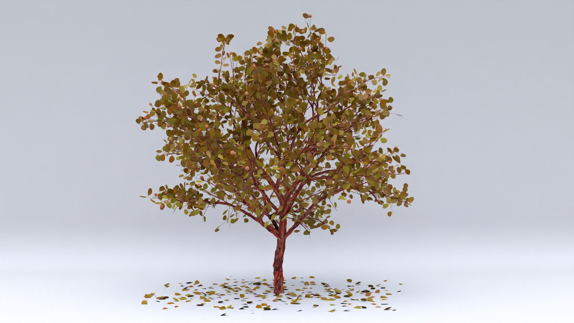 Arbutus autumn hight 3D model - TurboSquid 1622168