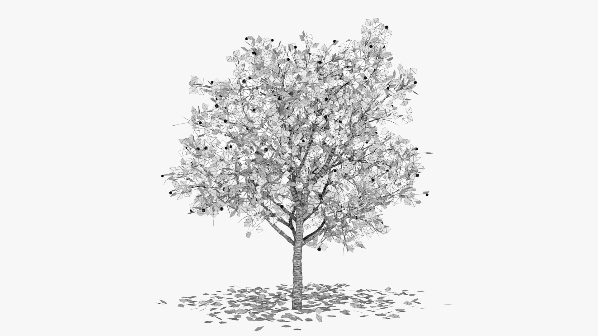 Arbutus autumn hight 3D model - TurboSquid 1622168