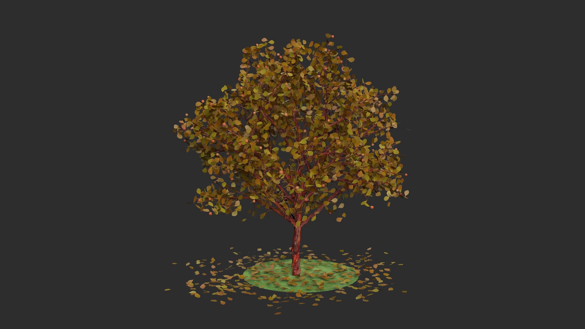 Arbutus autumn hight 3D model - TurboSquid 1622168