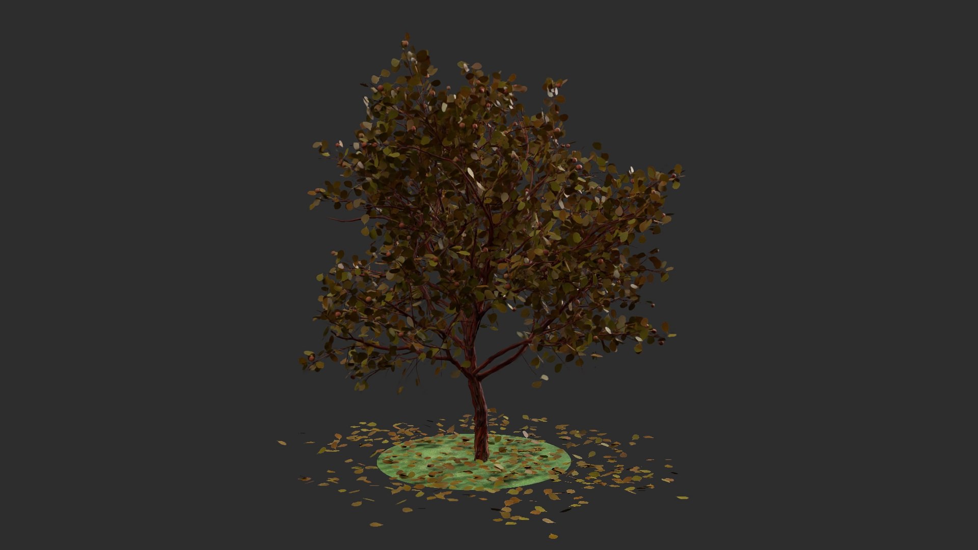 Arbutus autumn hight 3D model - TurboSquid 1622168