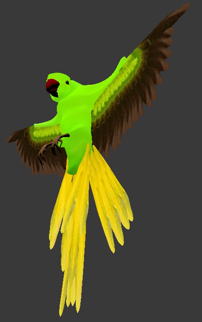 3D Parrot - TurboSquid 1206594