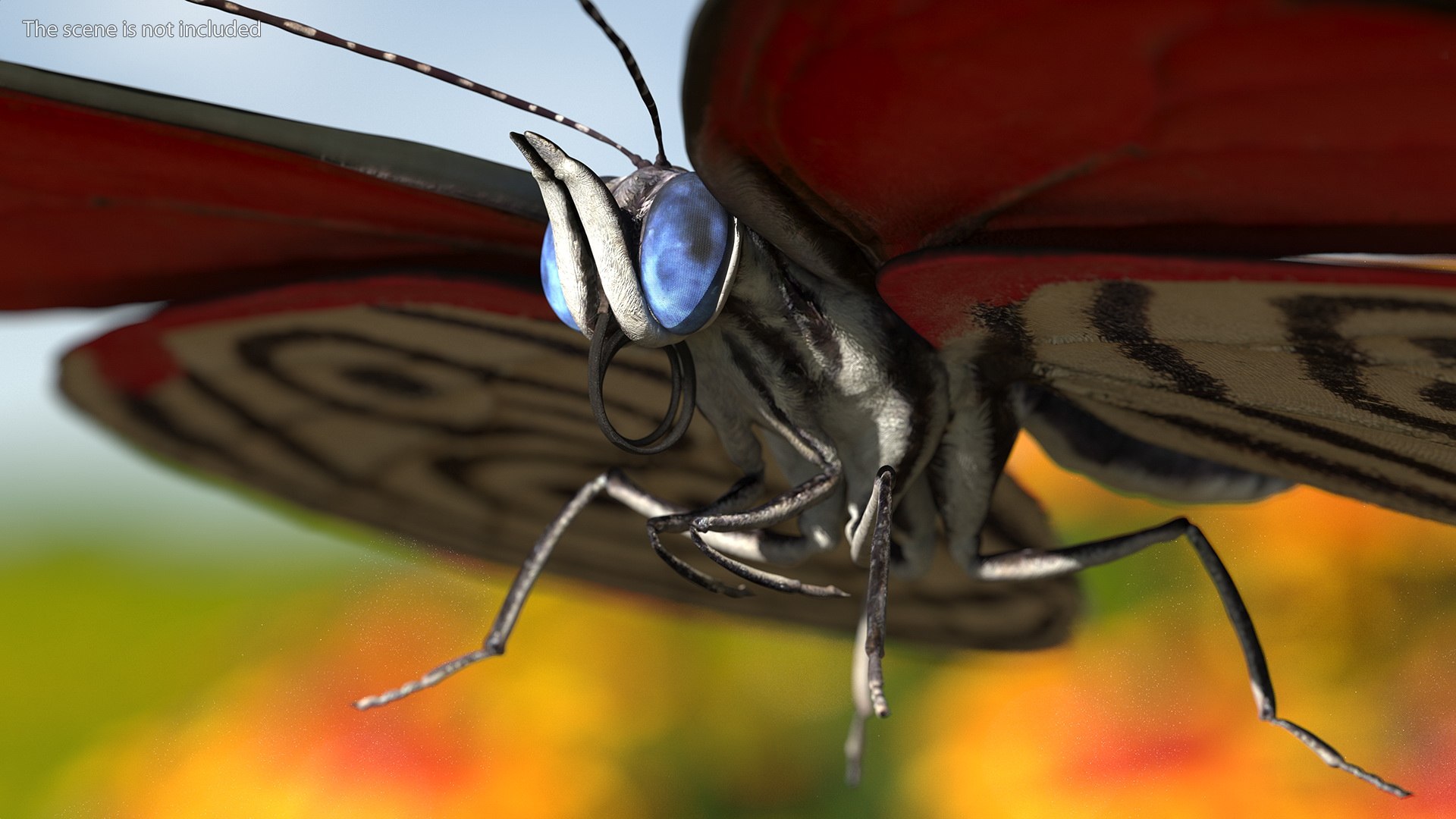 Diaethria Clymena Butterfly 3D Model - TurboSquid 1784443