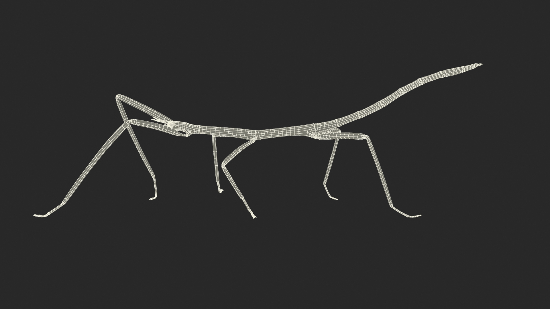 3D stick insect green walking - TurboSquid 1469125