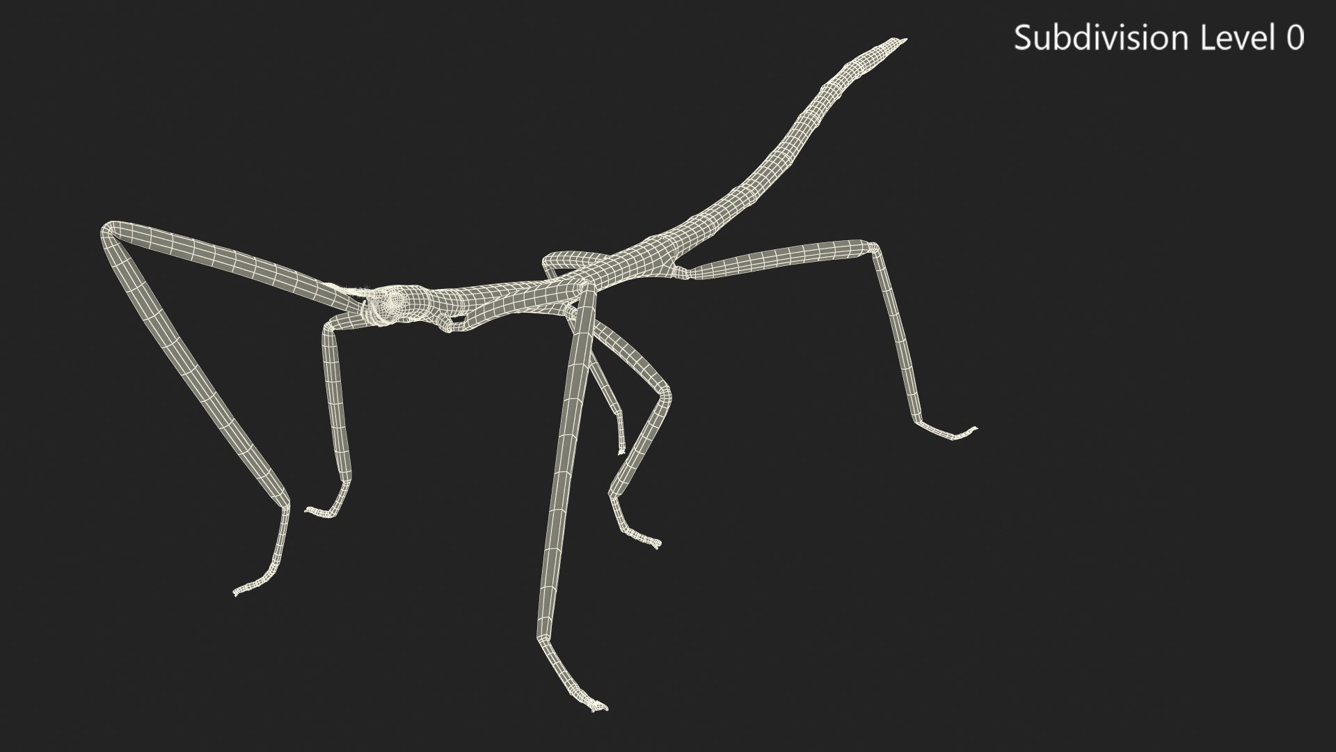 3D stick insect green walking - TurboSquid 1469125