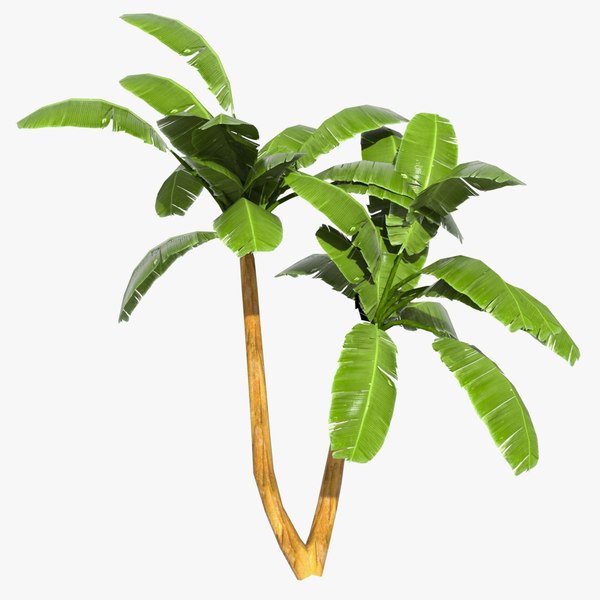 Low Poly Tree SketchUp Models for Download | TurboSquid