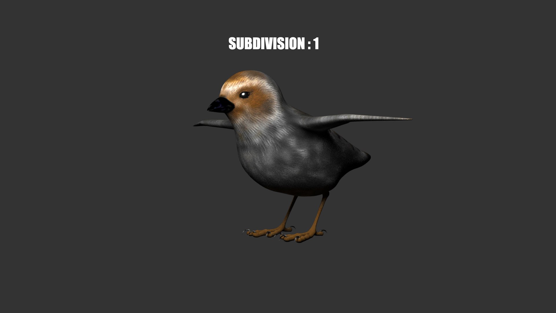 BIRD 3D Model - TurboSquid 1994909