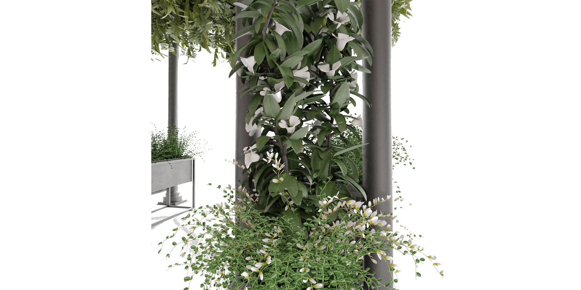 Collection plant vol 33 - blender model 3D model - TurboSquid 2067787