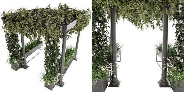 Collection plant vol 33 - blender model3D模型 - TurboSquid 2067787