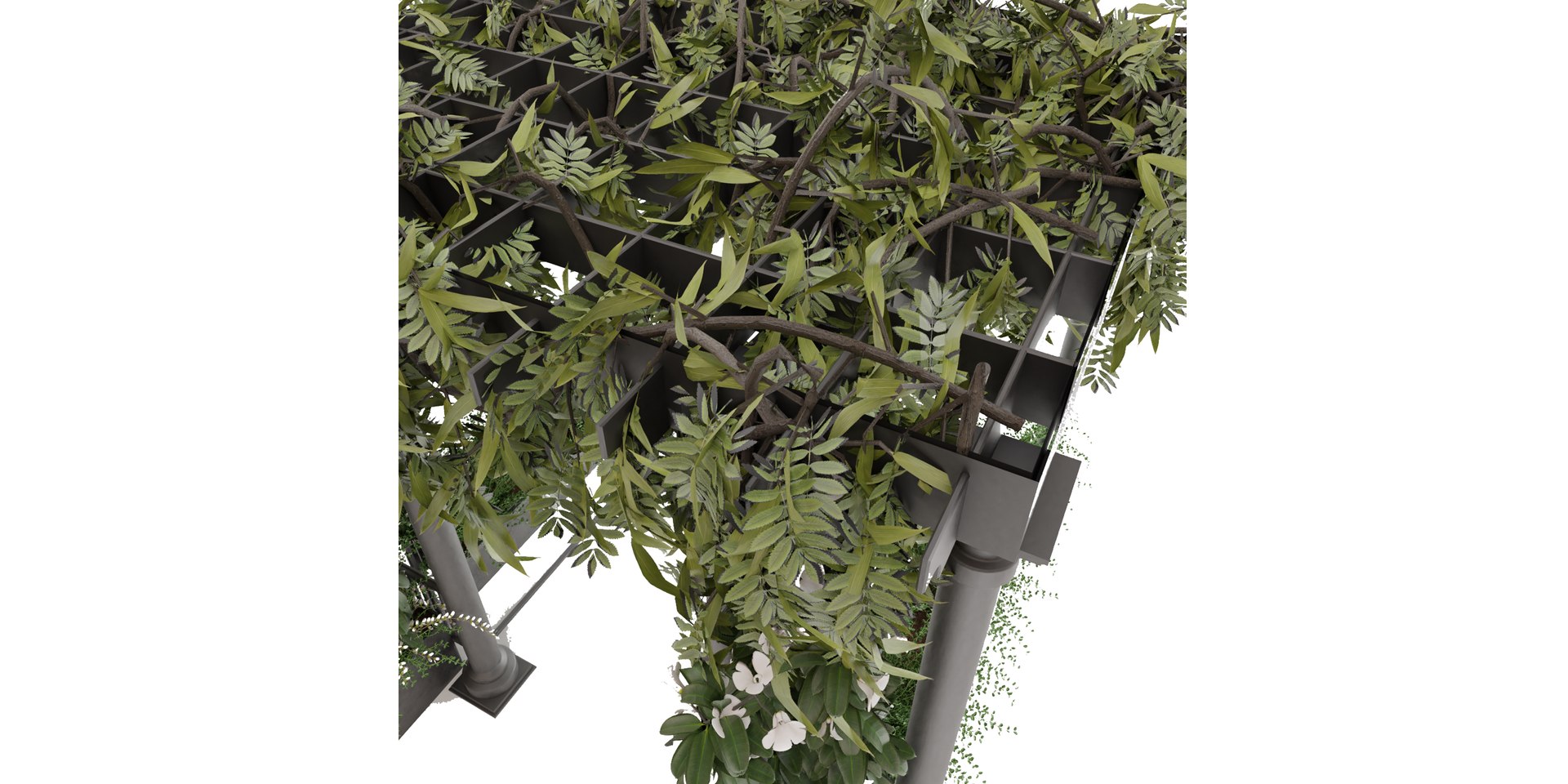 Collection plant vol 33 - blender model 3D model - TurboSquid 2067787