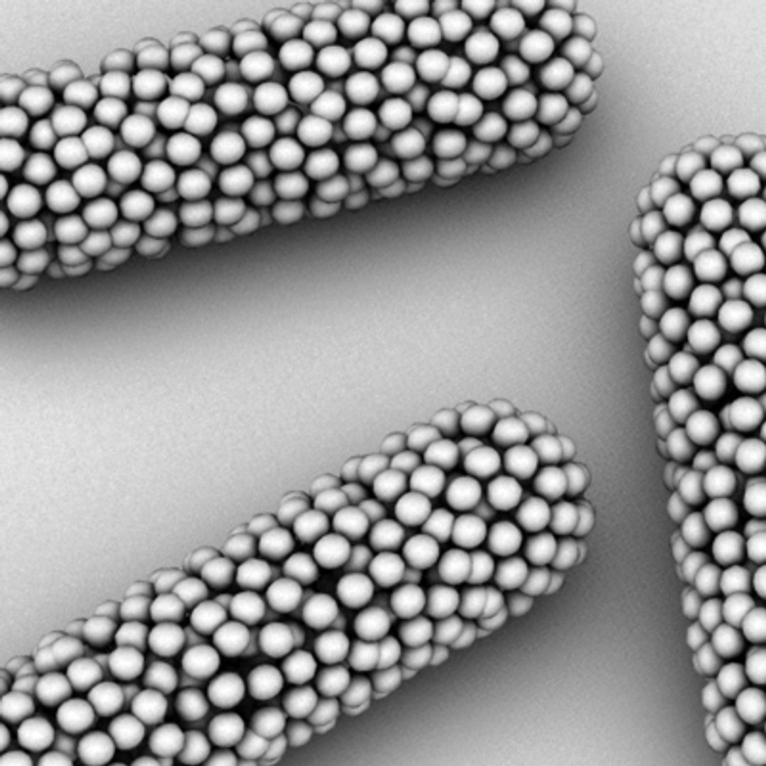 3d Capsule Pill Model