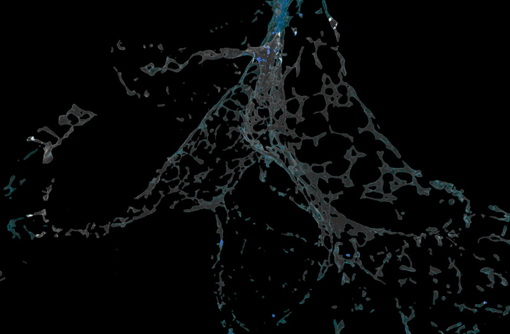 3d Water Splash Explosion