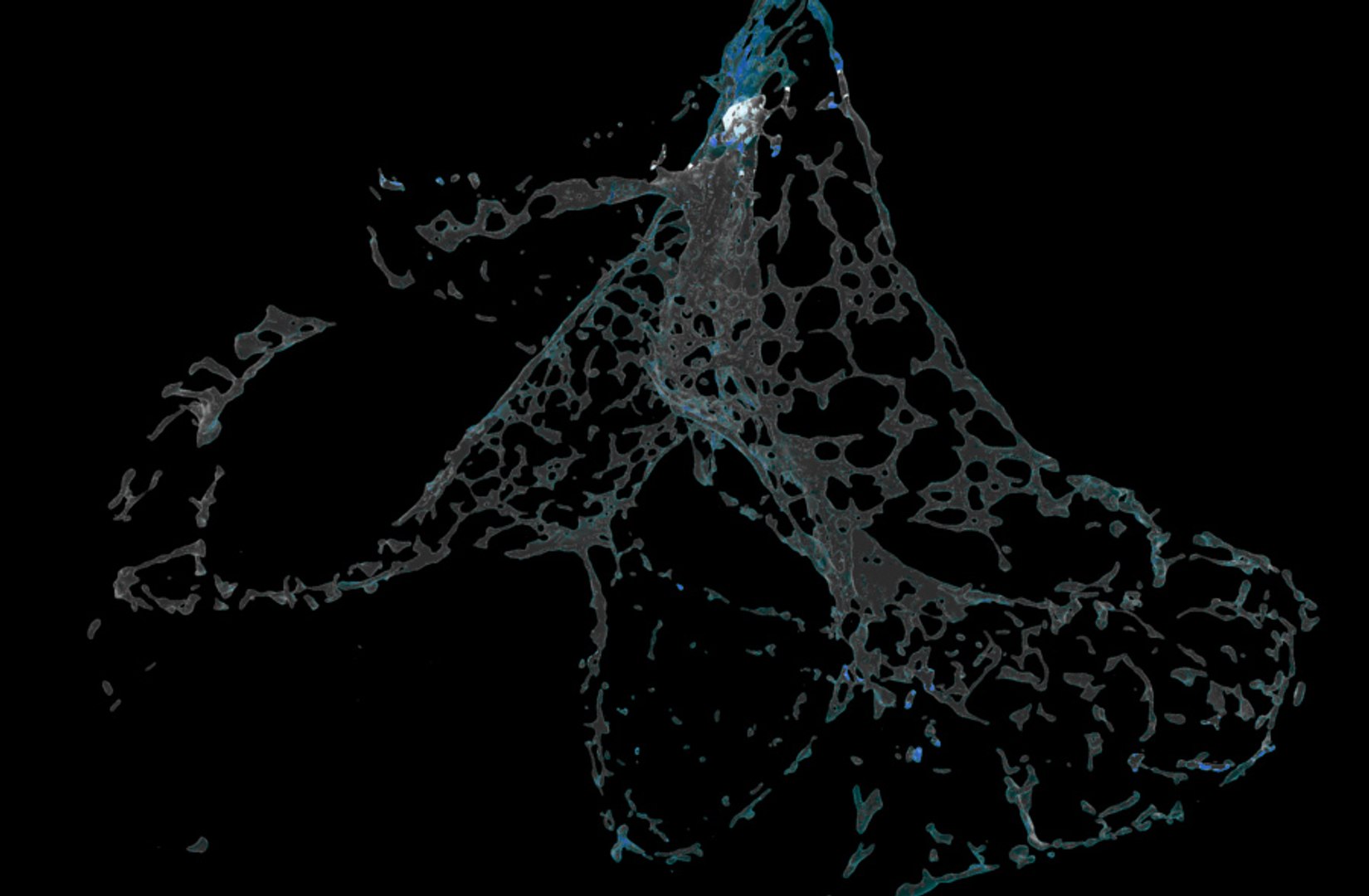 3d Water Splash Explosion