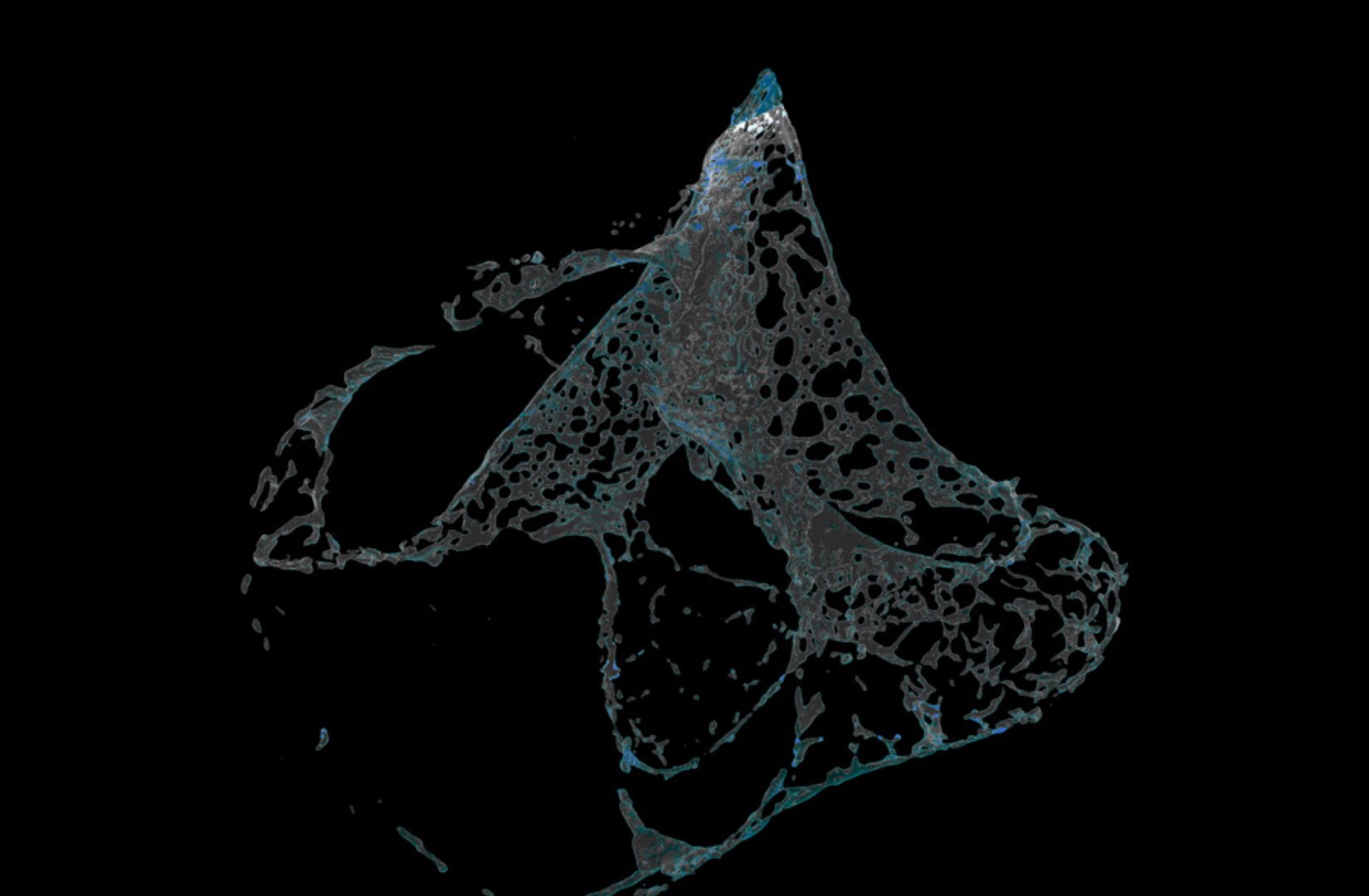 3d water splash explosion