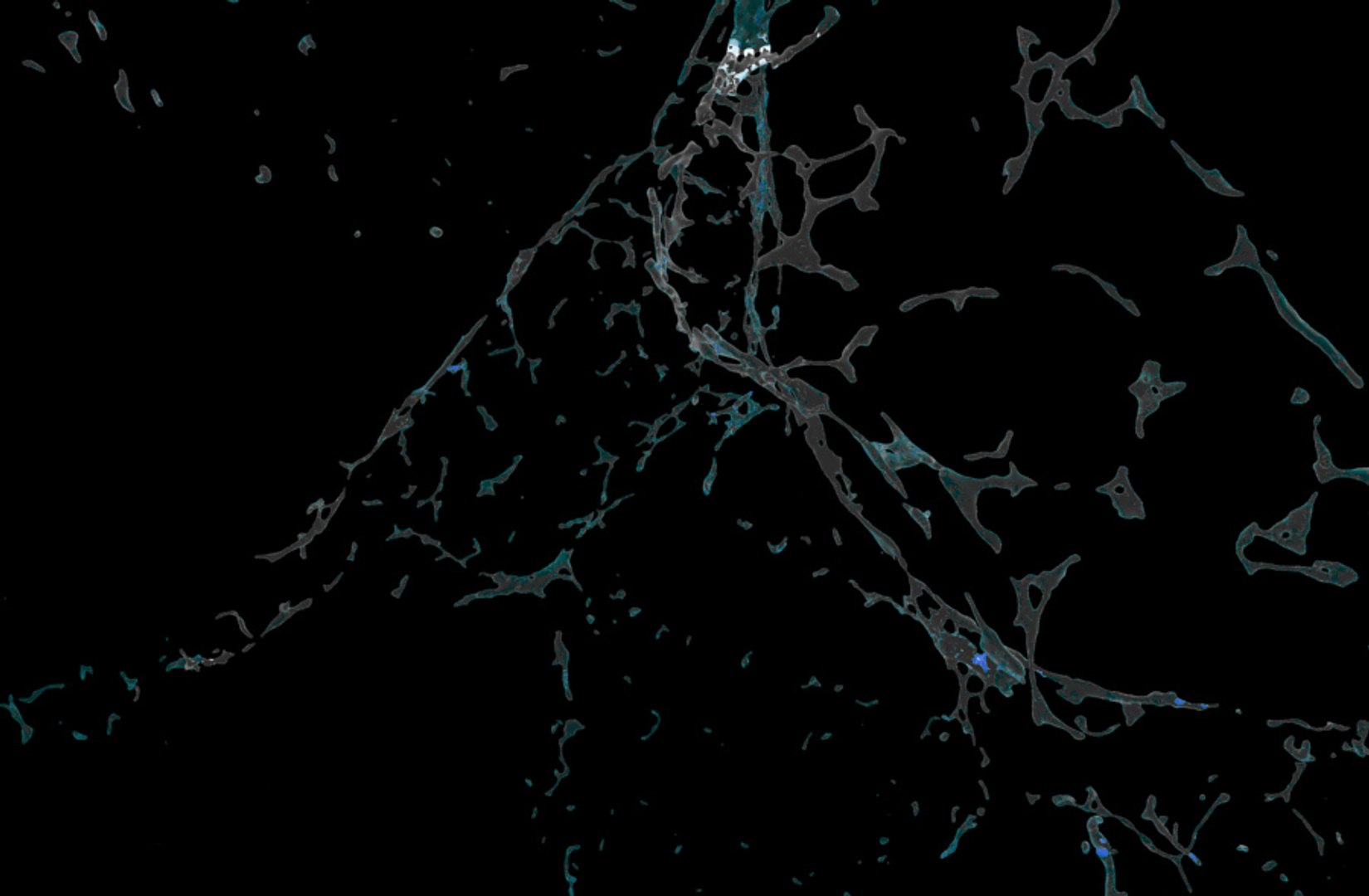 3d Water Splash Explosion