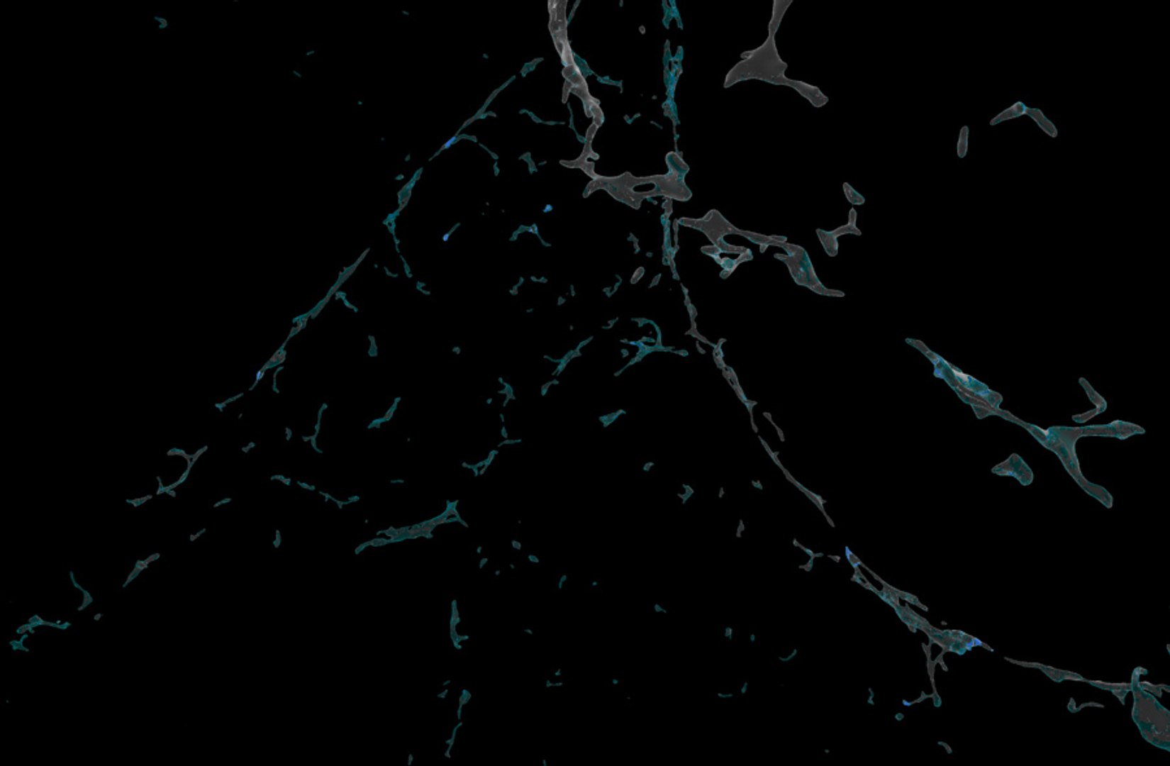 3d Water Splash Explosion