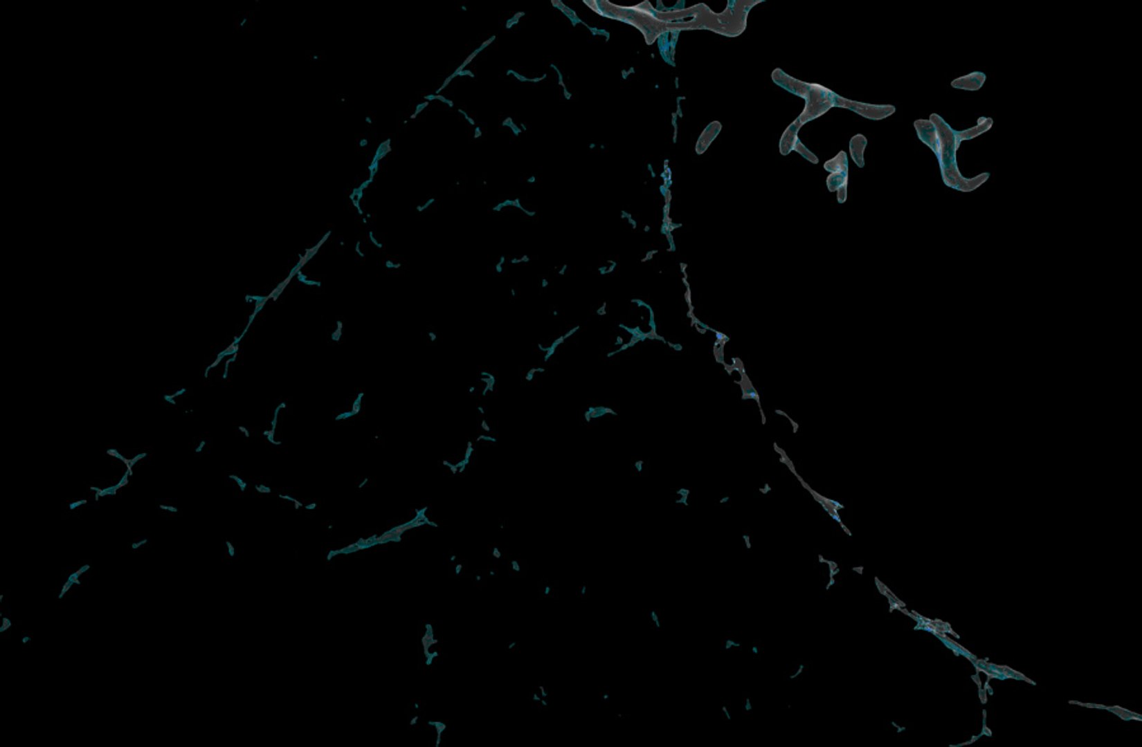 3d Water Splash Explosion