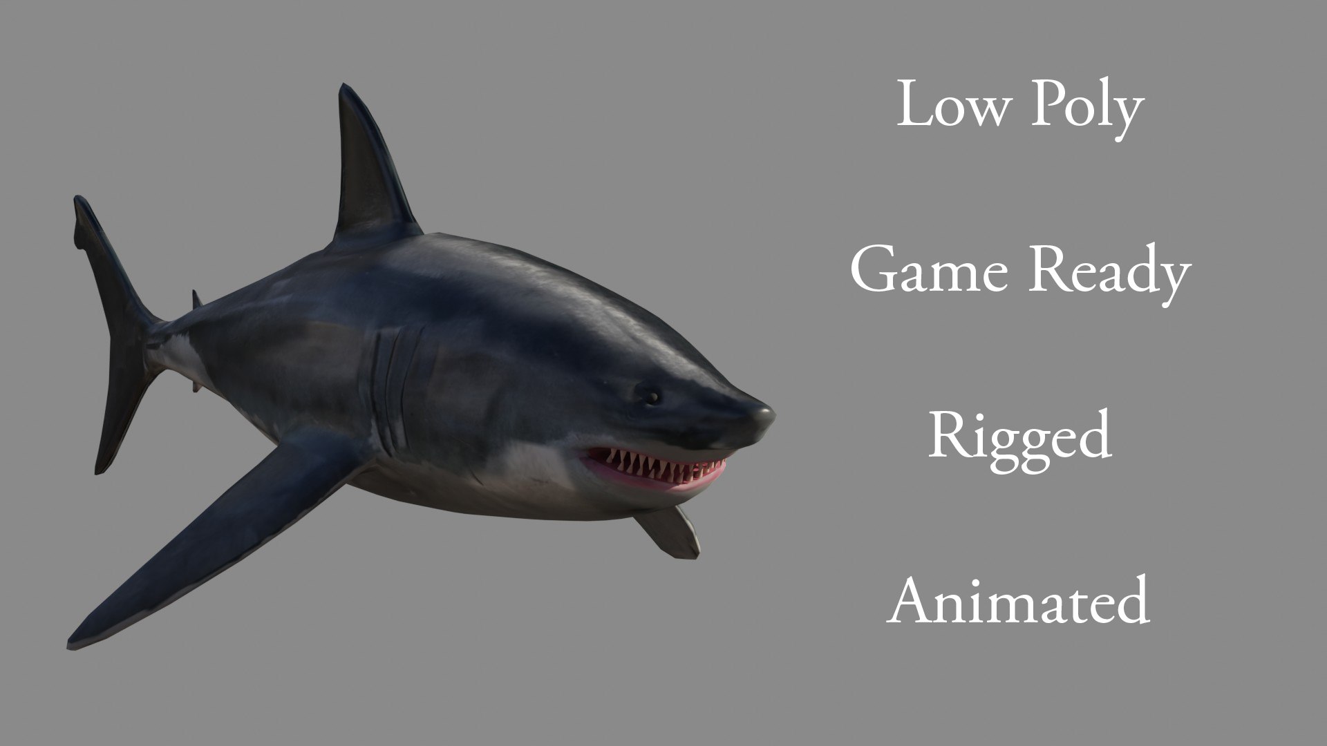 Shark - Low Poly - Game Ready - Rigged 3D Model - TurboSquid 2055348
