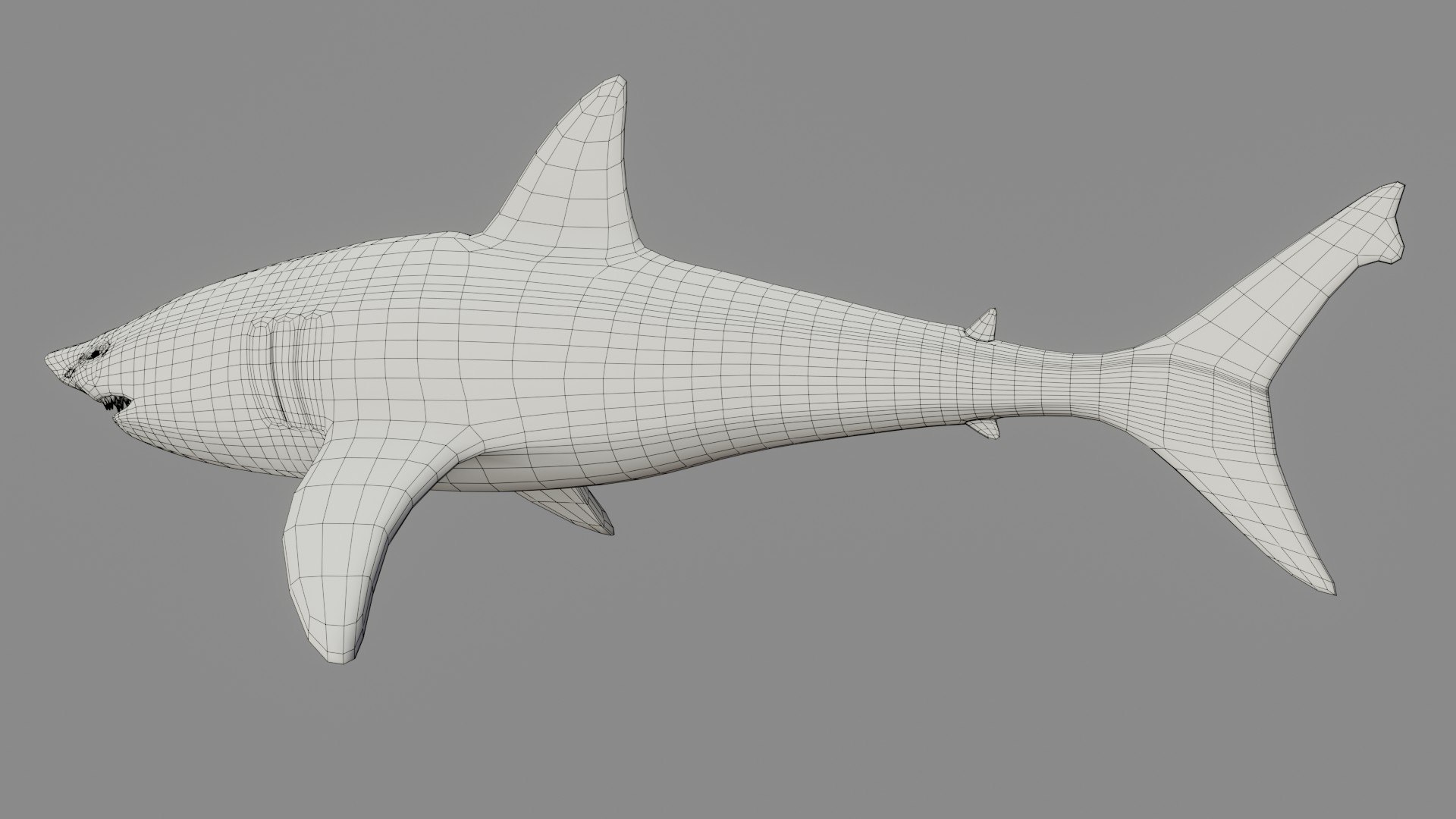 Shark - Low Poly - Game Ready - Rigged 3D model - TurboSquid 2055348