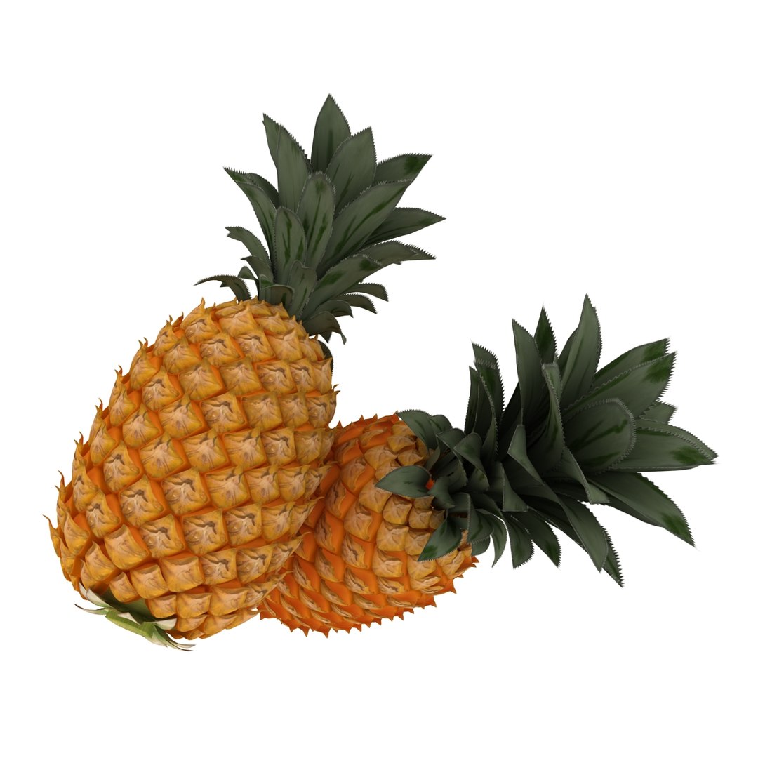 3d Pineapple Ananas Tropical Model
