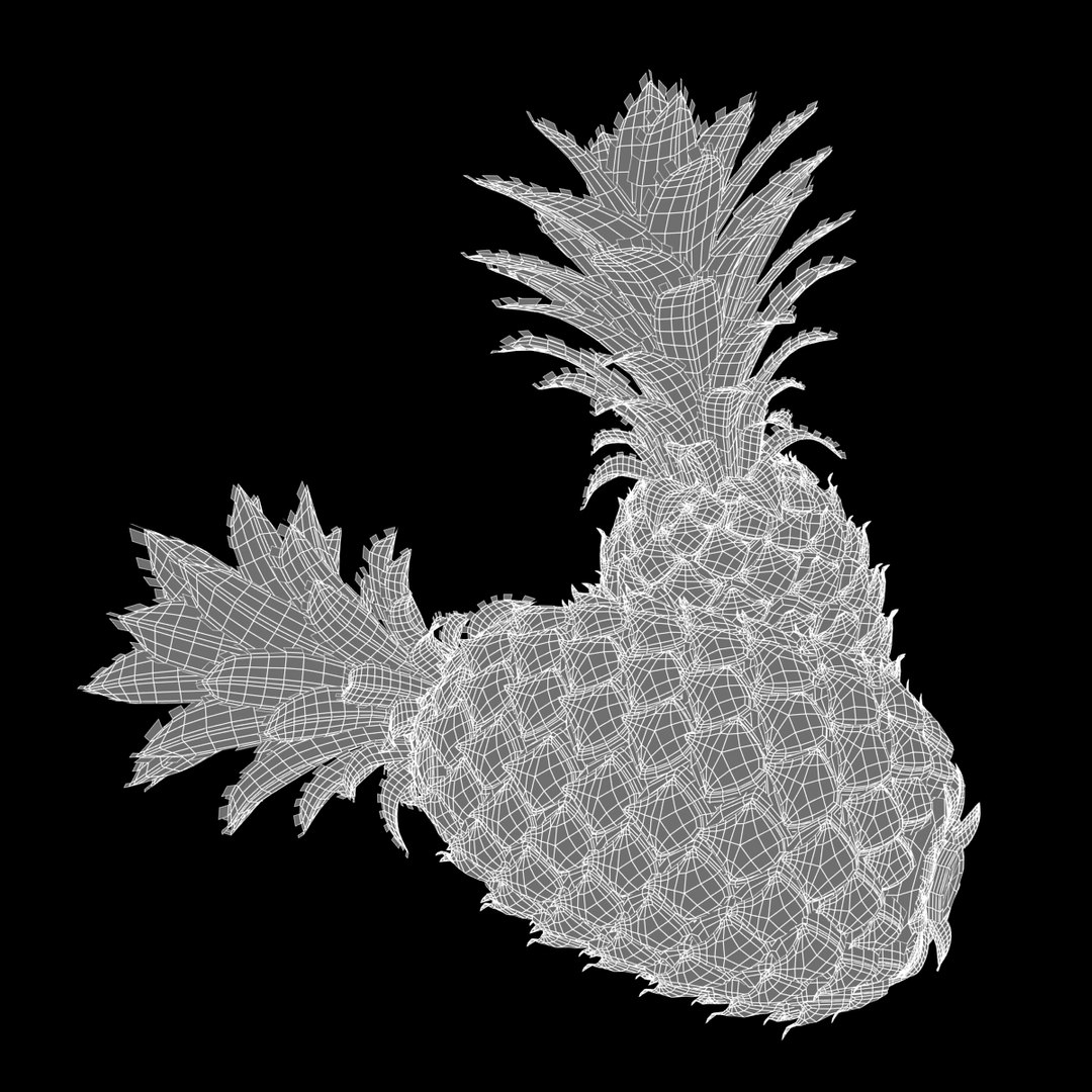3d Pineapple Ananas Tropical Model