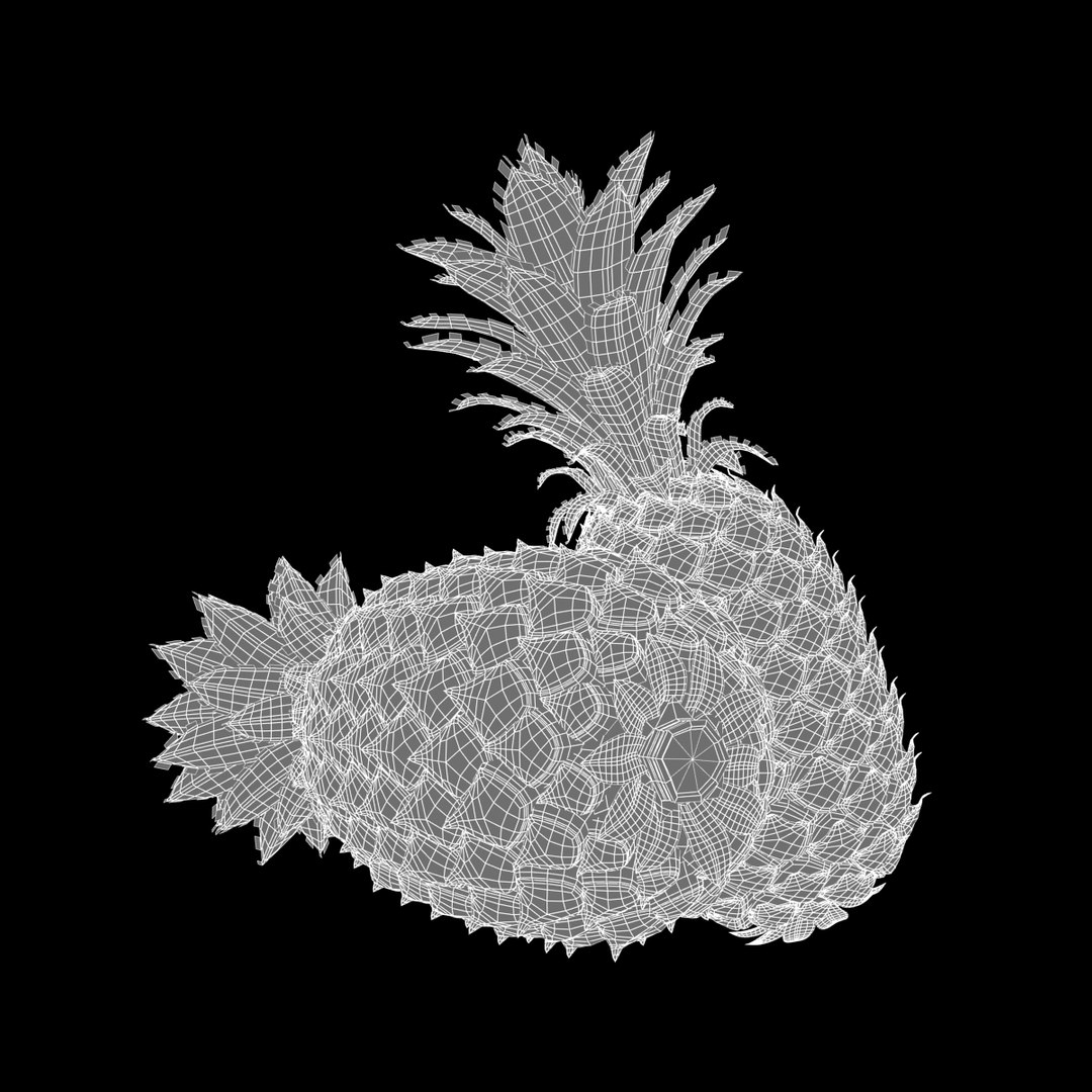 3d Pineapple Ananas Tropical Model