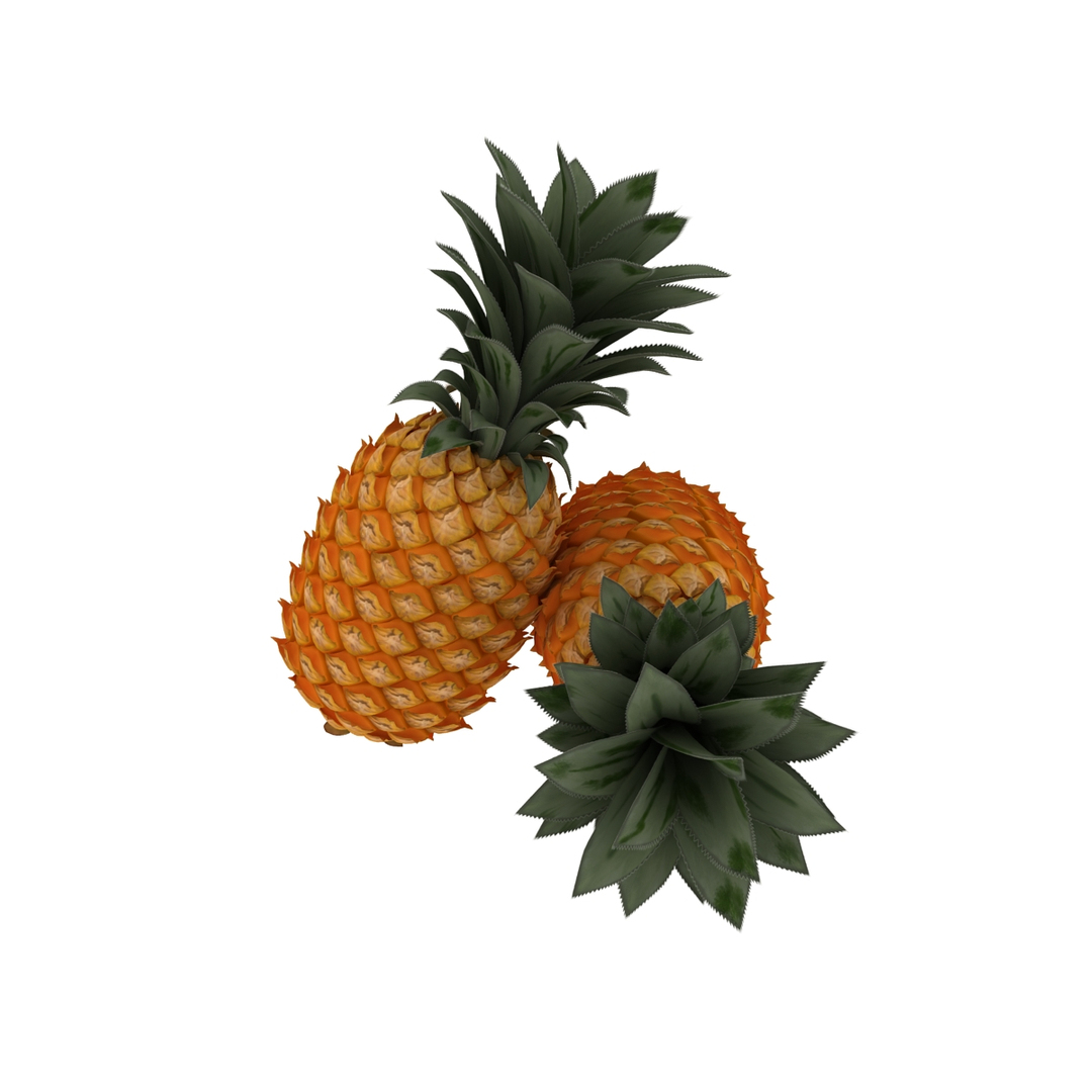 3d Pineapple Ananas Tropical Model