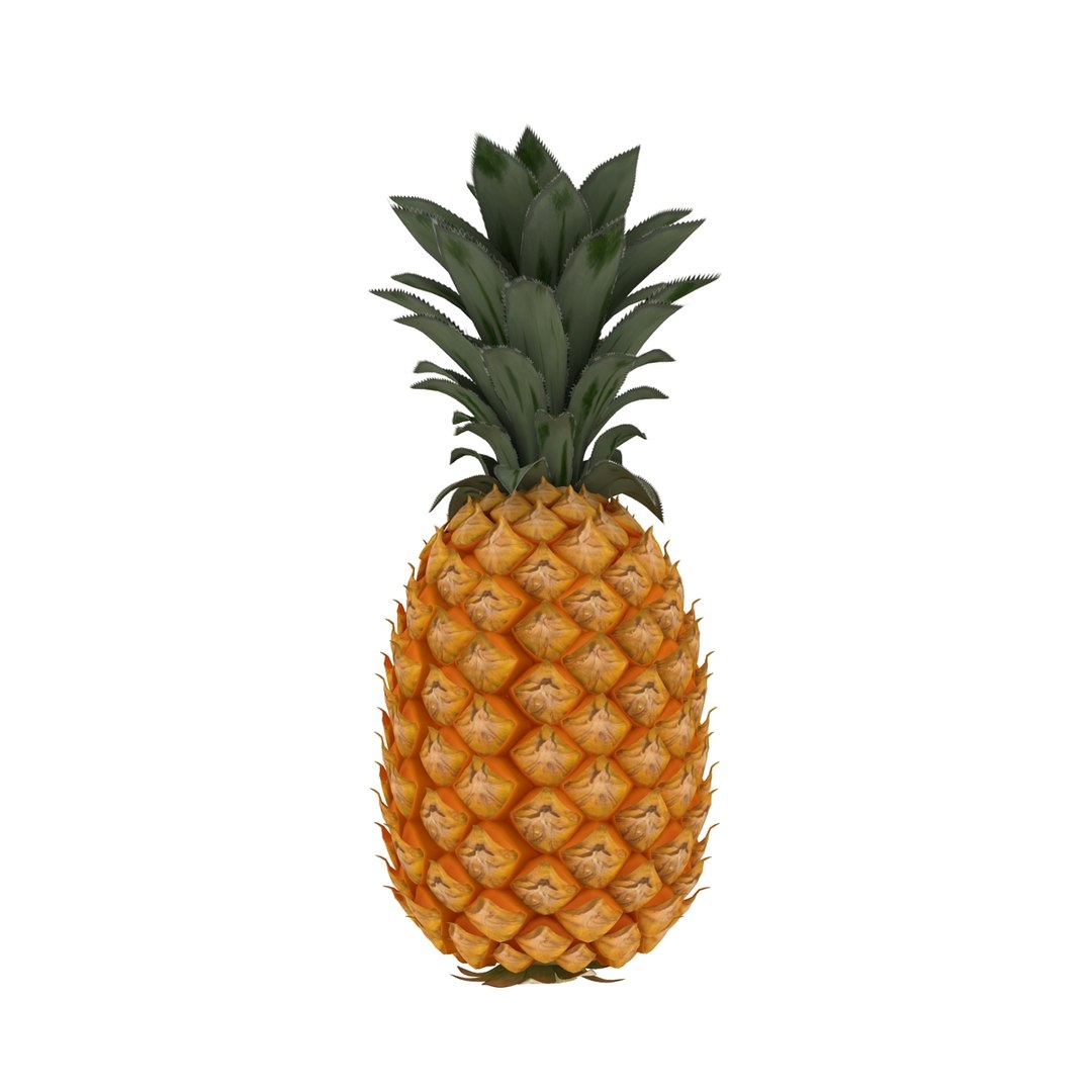3d Pineapple Ananas Tropical Model