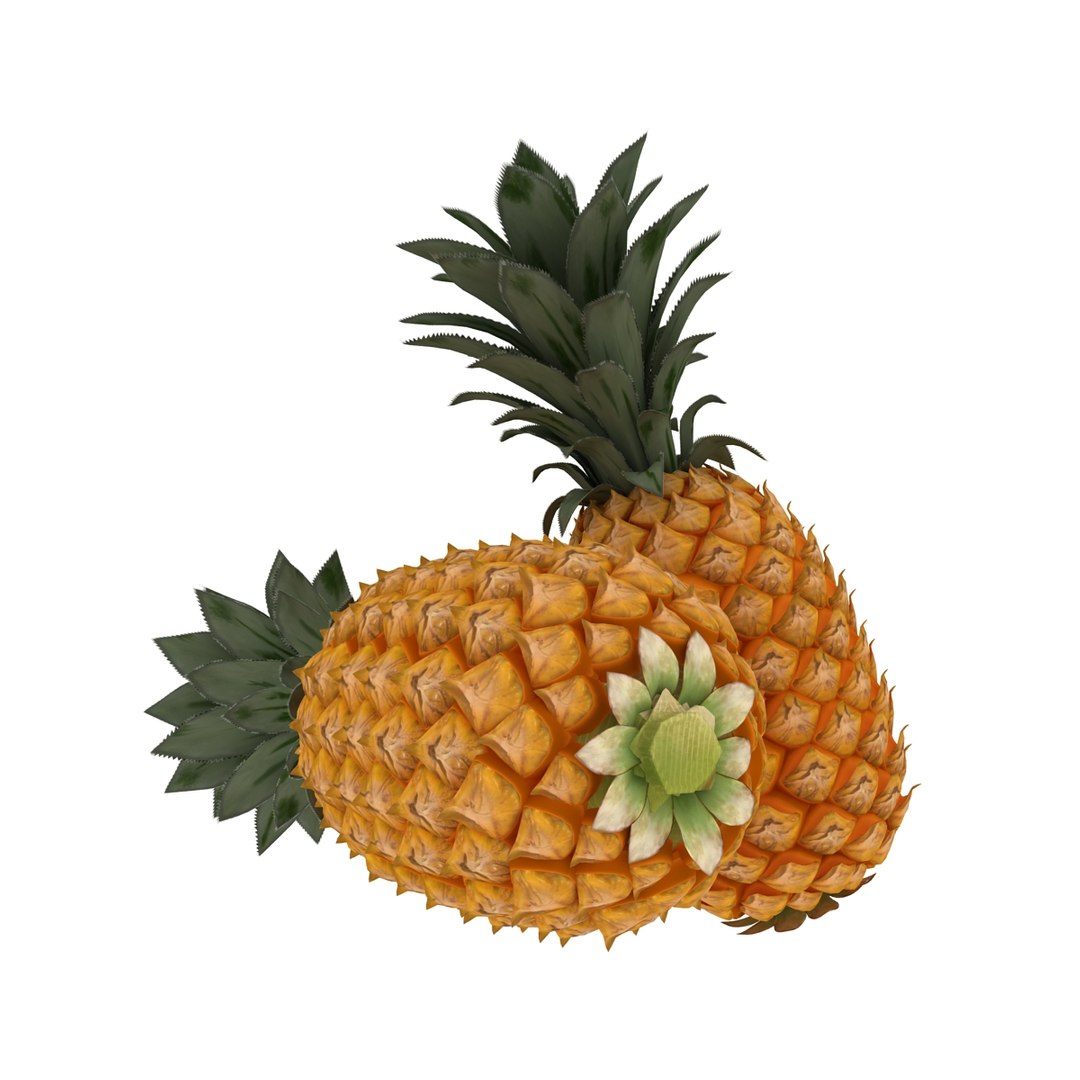 3d Pineapple Ananas Tropical Model
