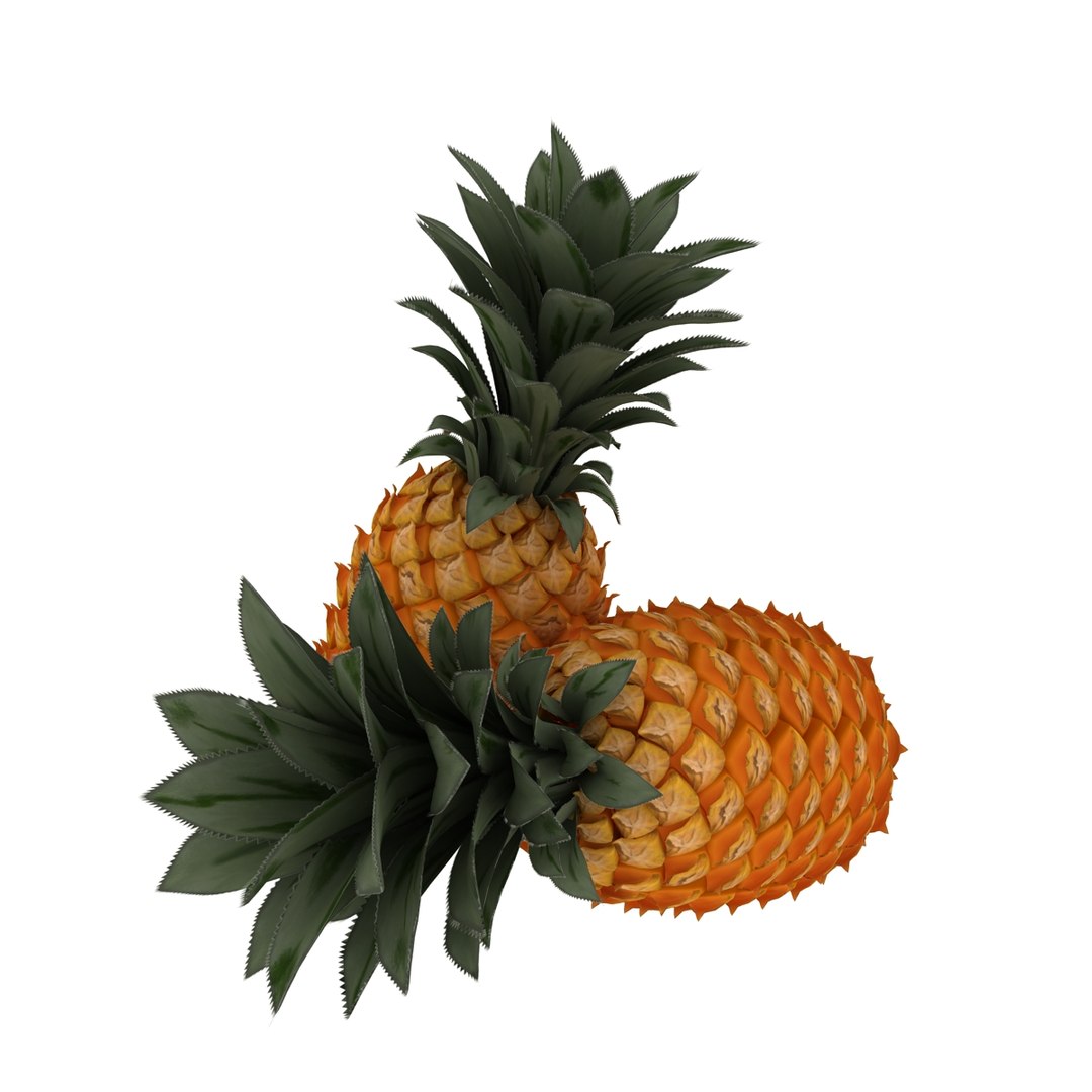 3d Pineapple Ananas Tropical Model