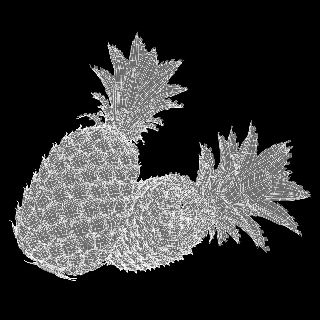 3d Pineapple Ananas Tropical Model