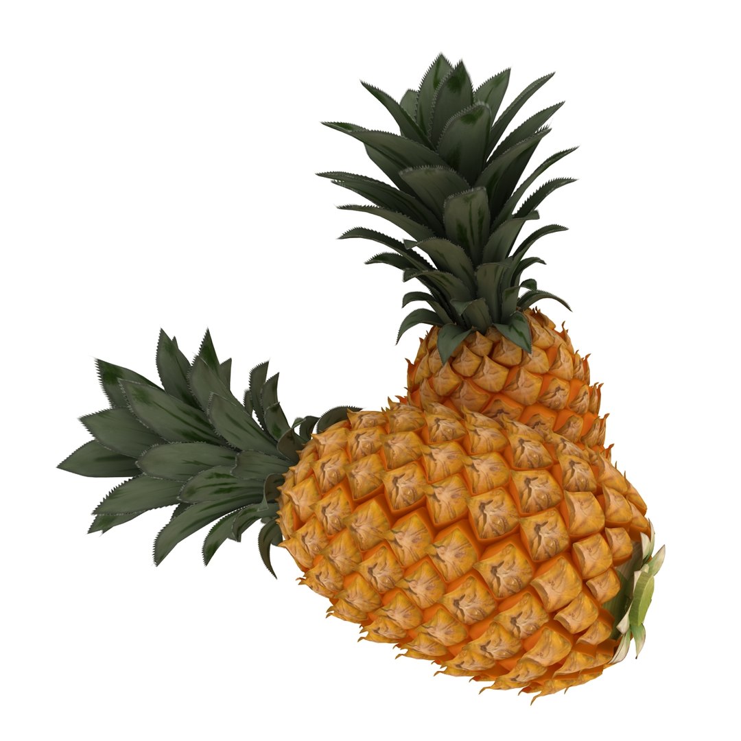 3d Pineapple Ananas Tropical Model
