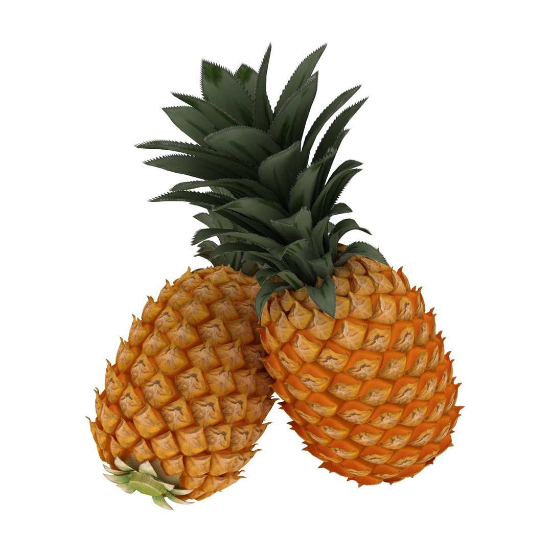 3d Pineapple Ananas Tropical Model