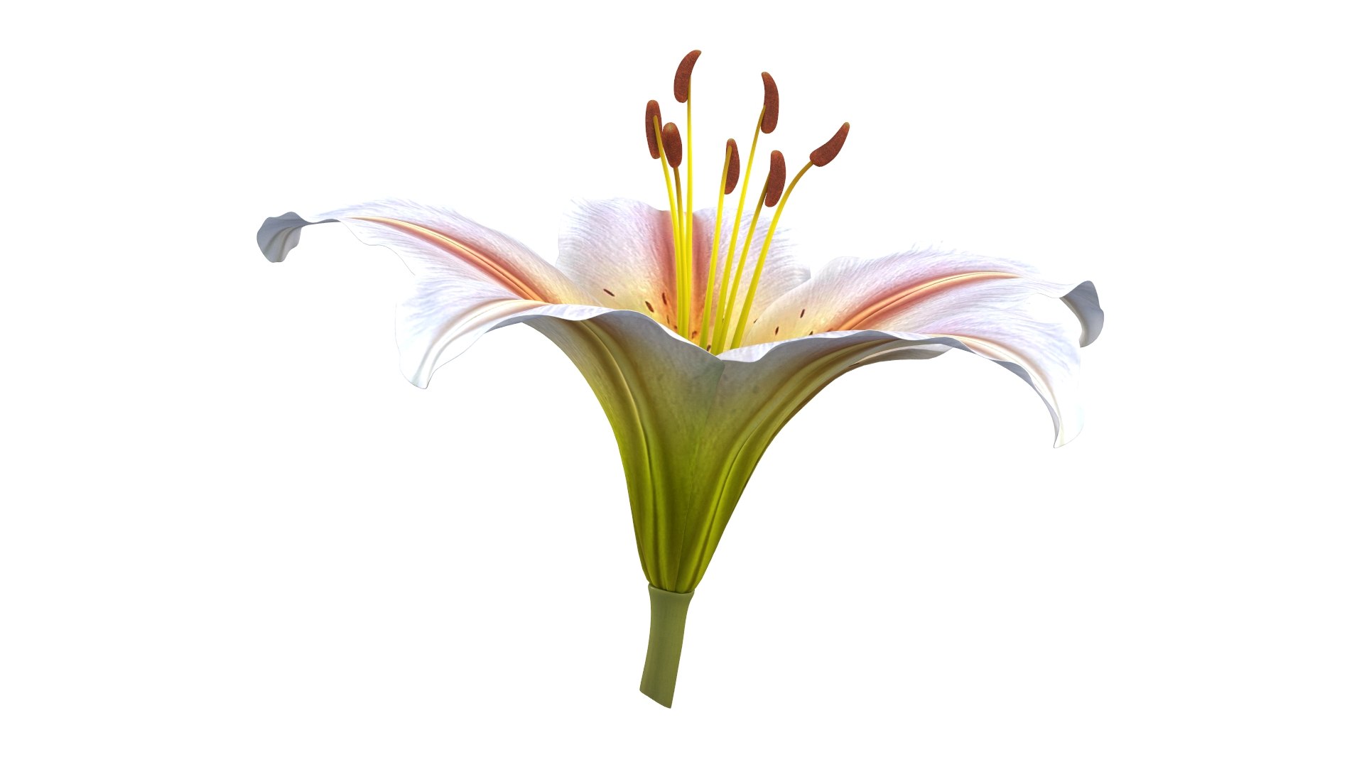 Realistic Lily 3D Model - High-Quality 4K PBR Asset 3D Model ...