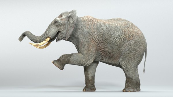 modelo 3d Elefante RIGGED - TurboSquid 2276350