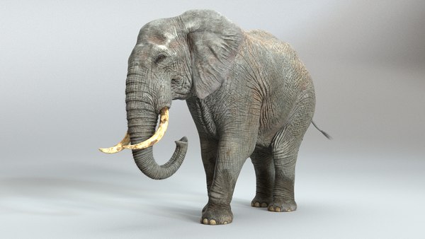 modelo 3d Elefante RIGGED - TurboSquid 2276350