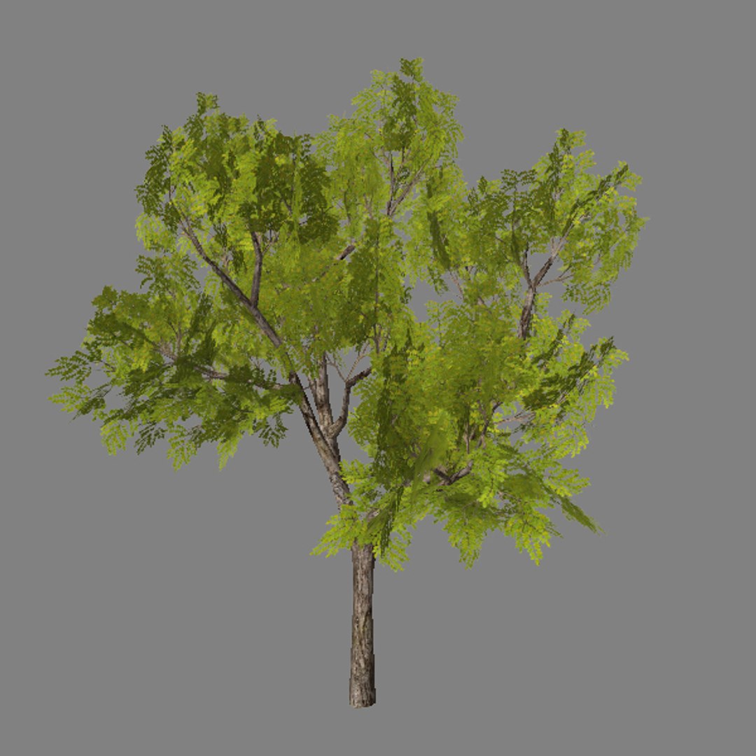 tree 07 3d model
