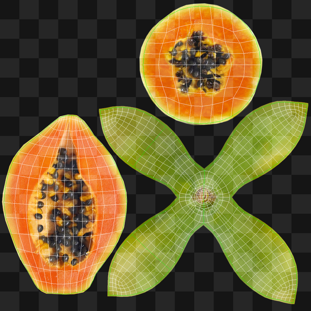 papaya sliced 3d obj