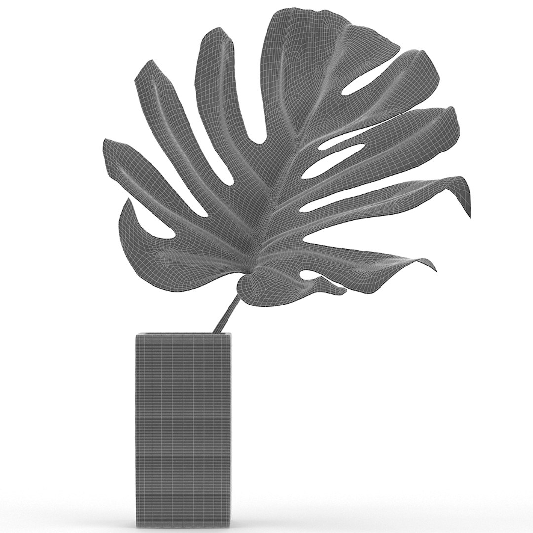 3d Monstera Leaves Model
