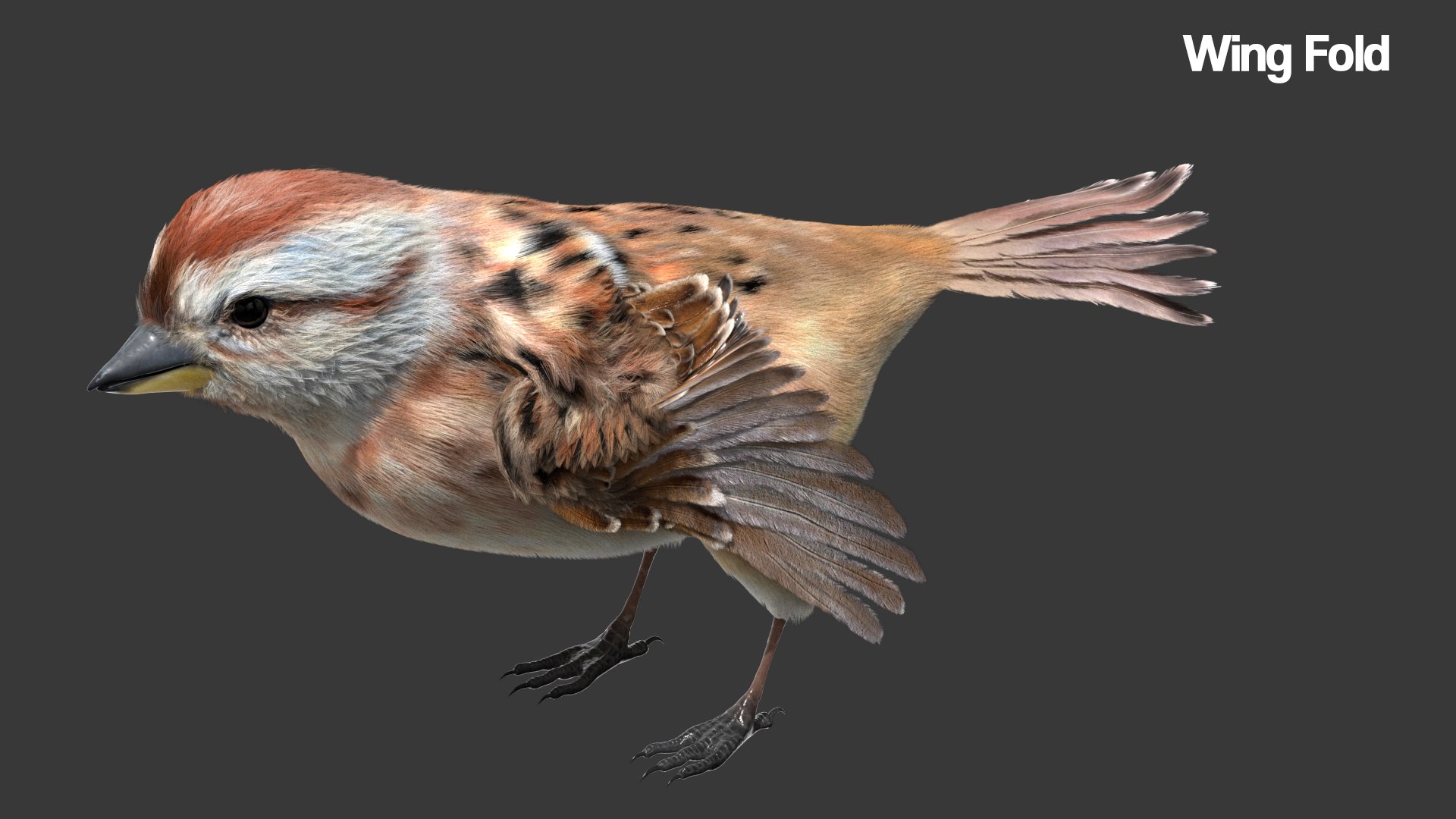 Realistic Rigged 3D Model - TurboSquid 1506593
