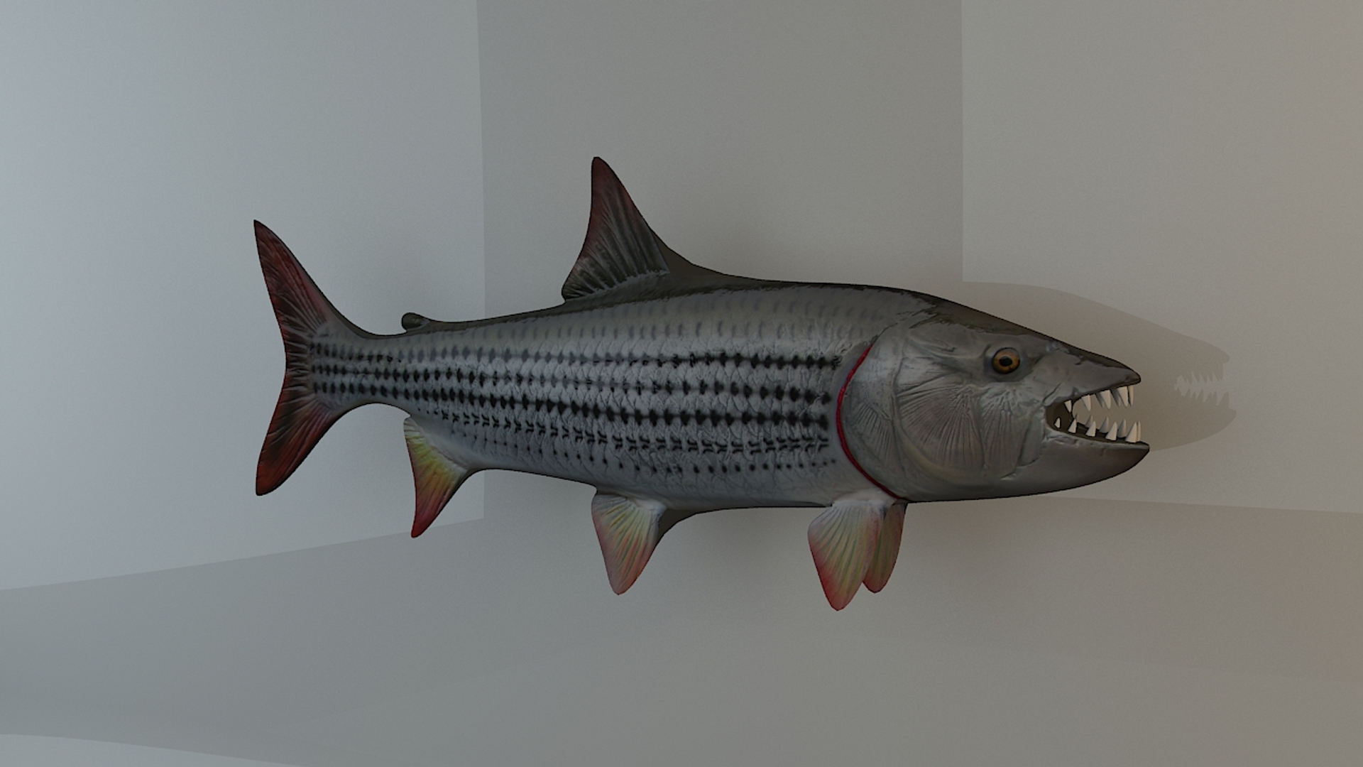 3D tiger fish - TurboSquid 1154460