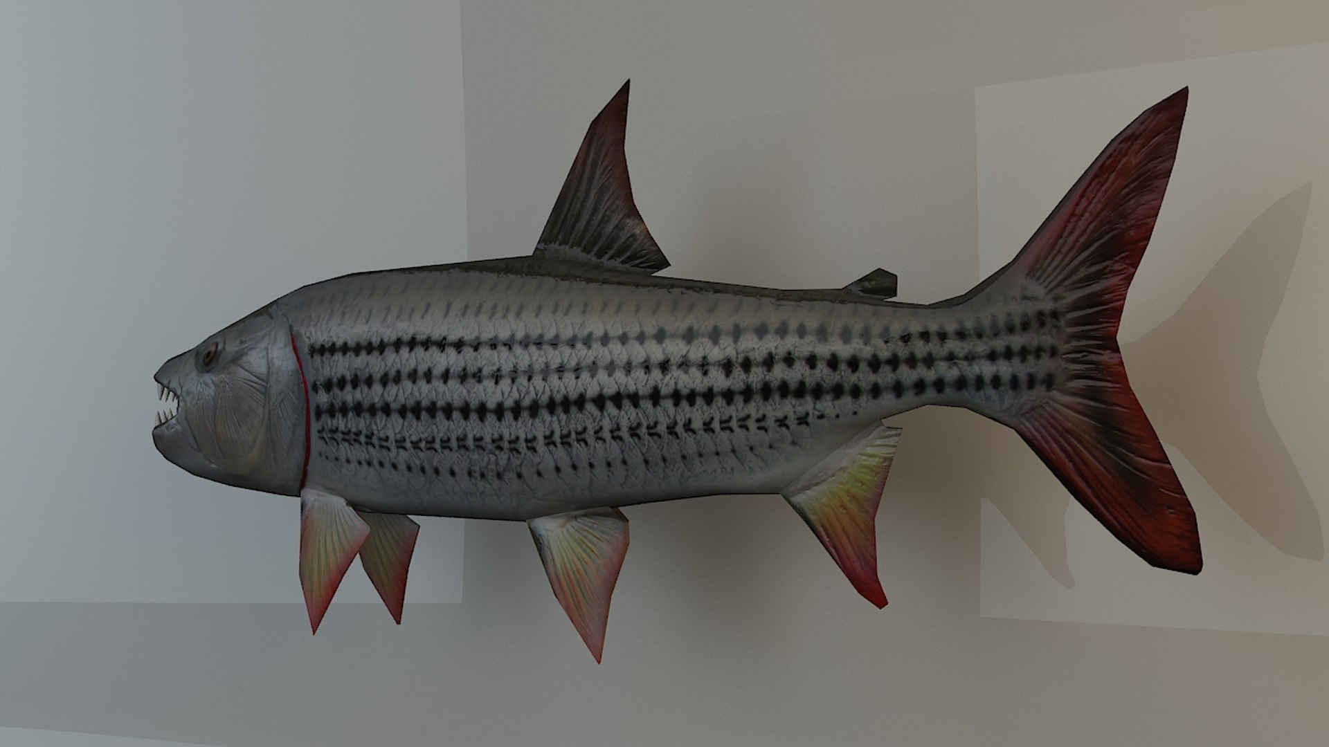 3D Tiger Fish - TurboSquid 1154460